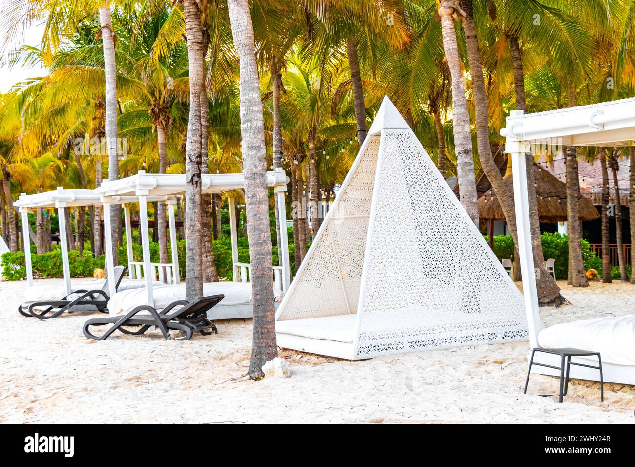 Palapa thatched roofs palm trees parasols umbrellas and sun loungers at ...