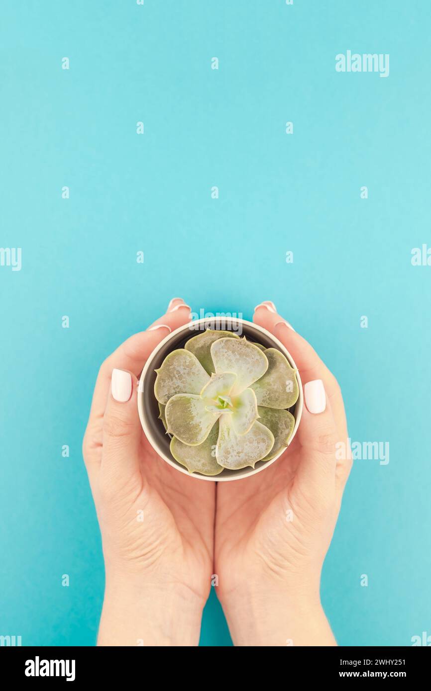 Woman hands holding plant hi-res stock photography and images - Alamy