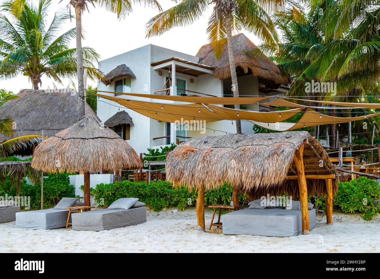 Palapa thatched roofs palm trees parasols umbrellas and sun loungers at ...