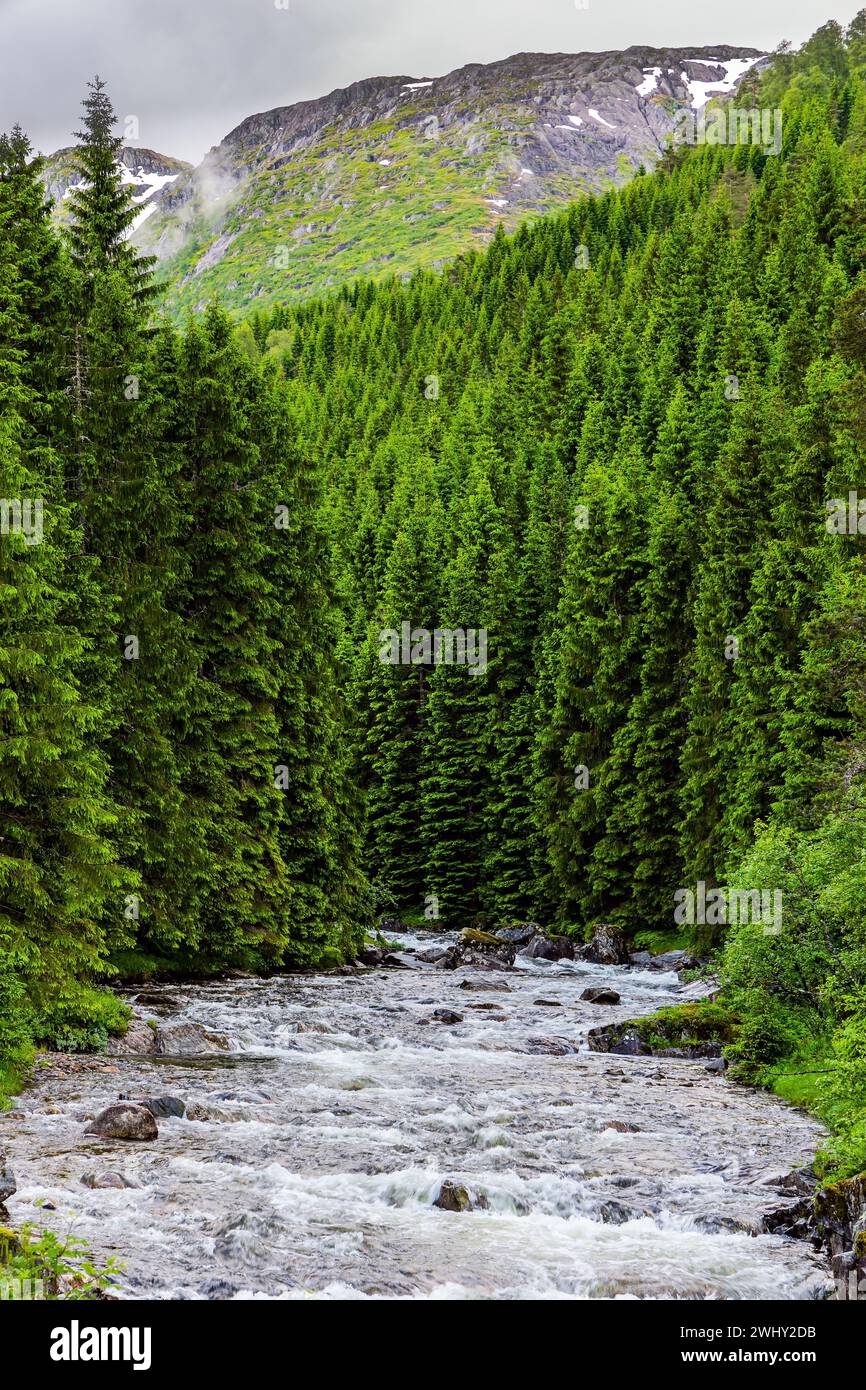 Explore narrow hi-res stock photography and images - Alamy