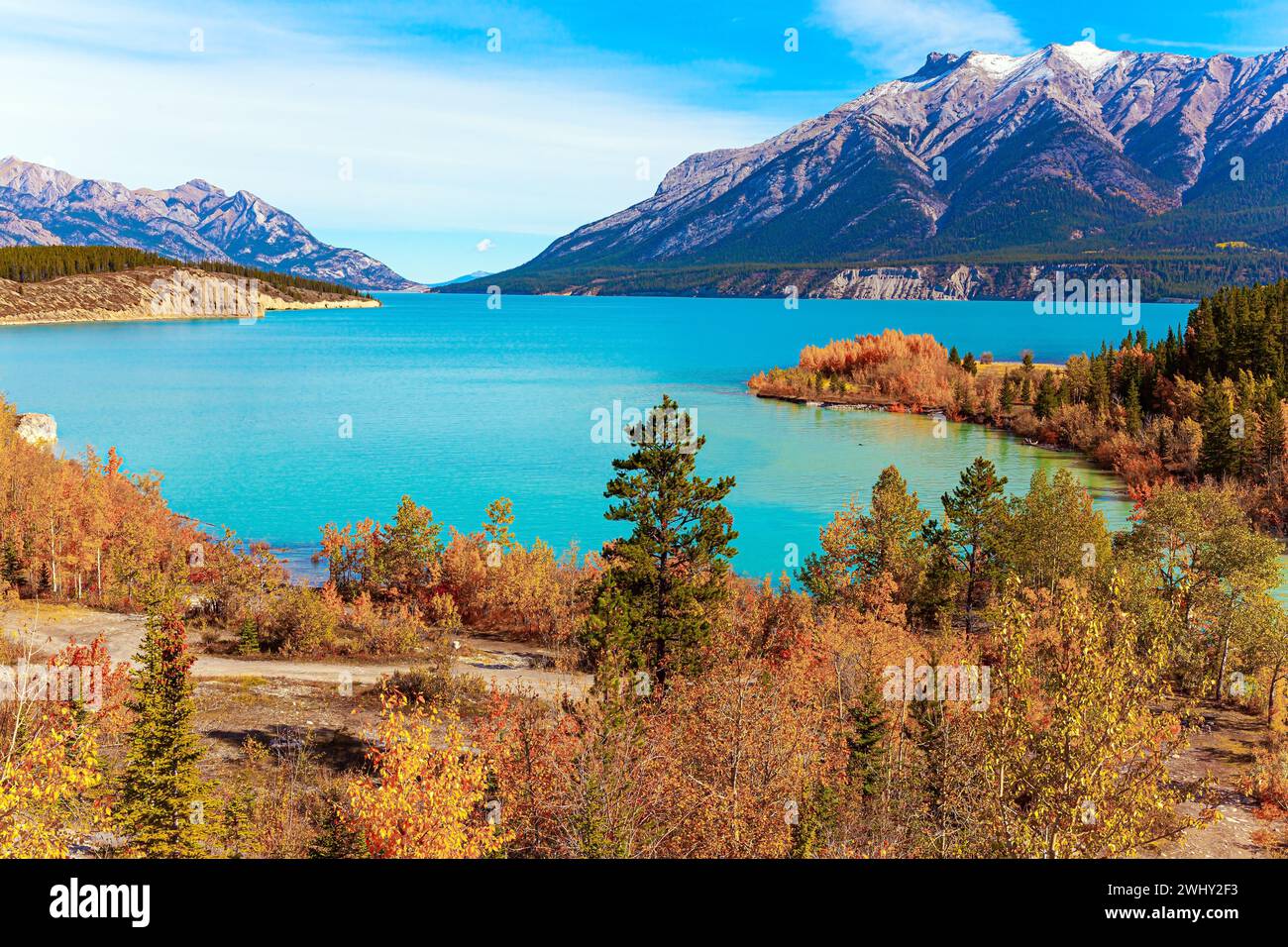 Gorgeous turquoise color Stock Photo - Alamy