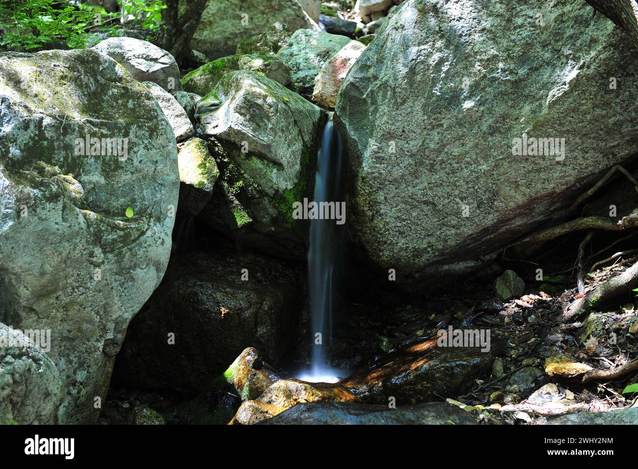 Mountain spring cascade Stock Photo - Alamy