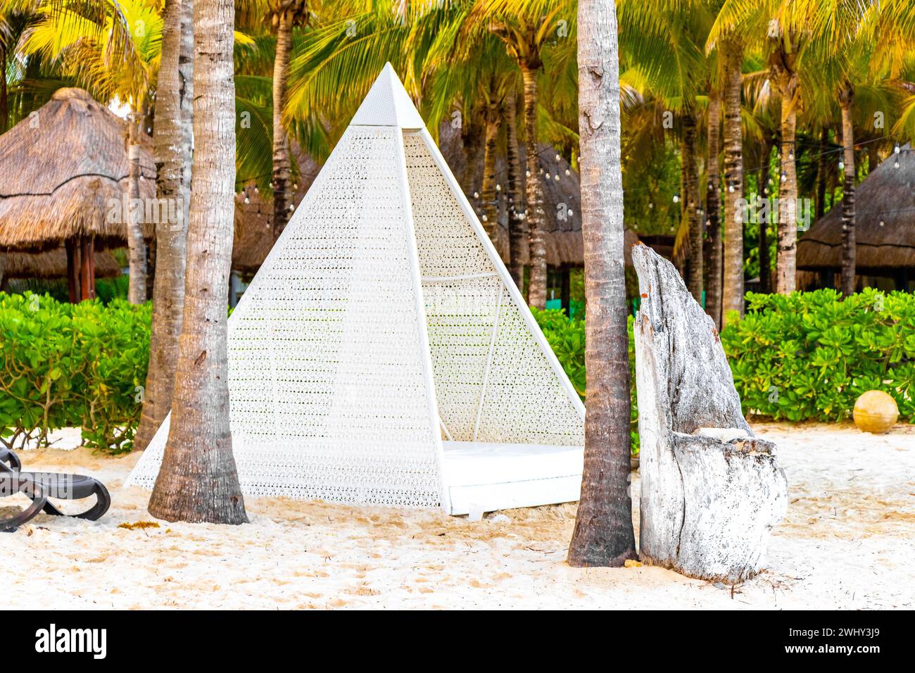 Palapa thatched roofs palm trees parasols umbrellas and sun loungers at ...