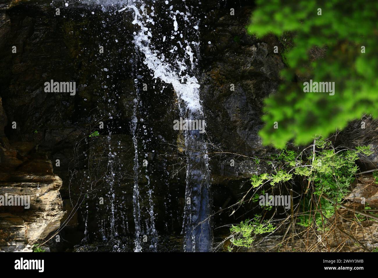 Mountain spring cascade Stock Photo - Alamy