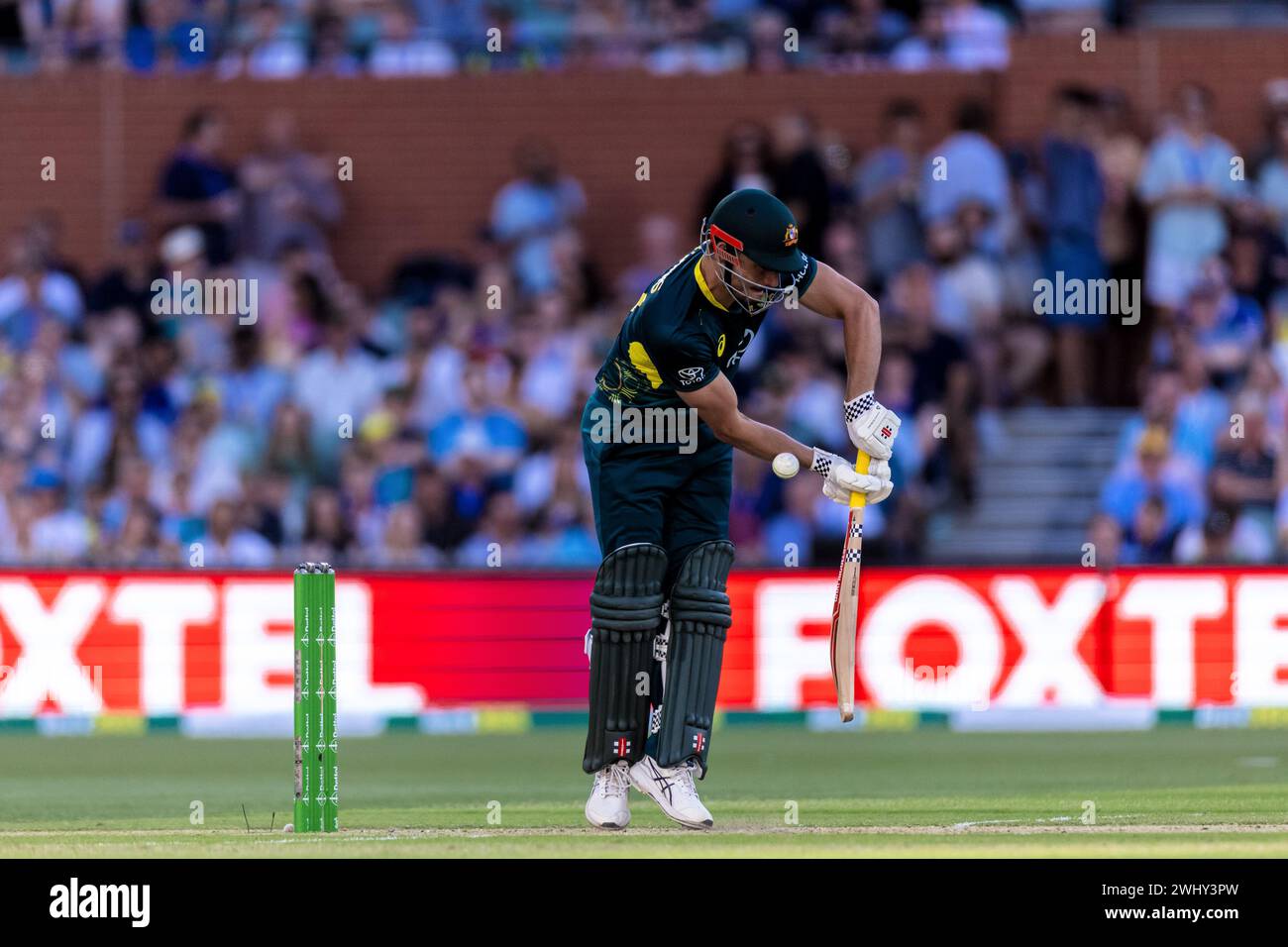 Adelaide, Australia, 11 February, 2024. Marcus Stoinis of Australia ...