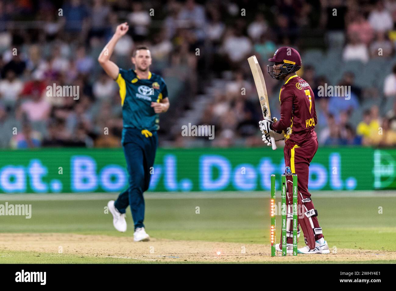 Adelaide, Australia, 11 February, 2024. Akeal Hosein of West Indies is ...
