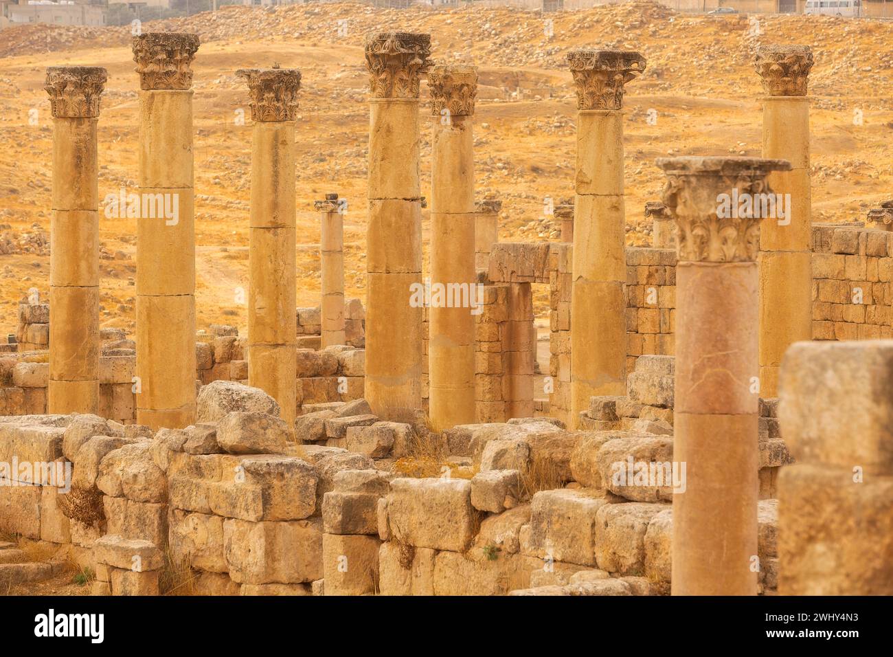 Ancient roman ruins of Jerash Gerasa, Jordan Stock Photo - Alamy