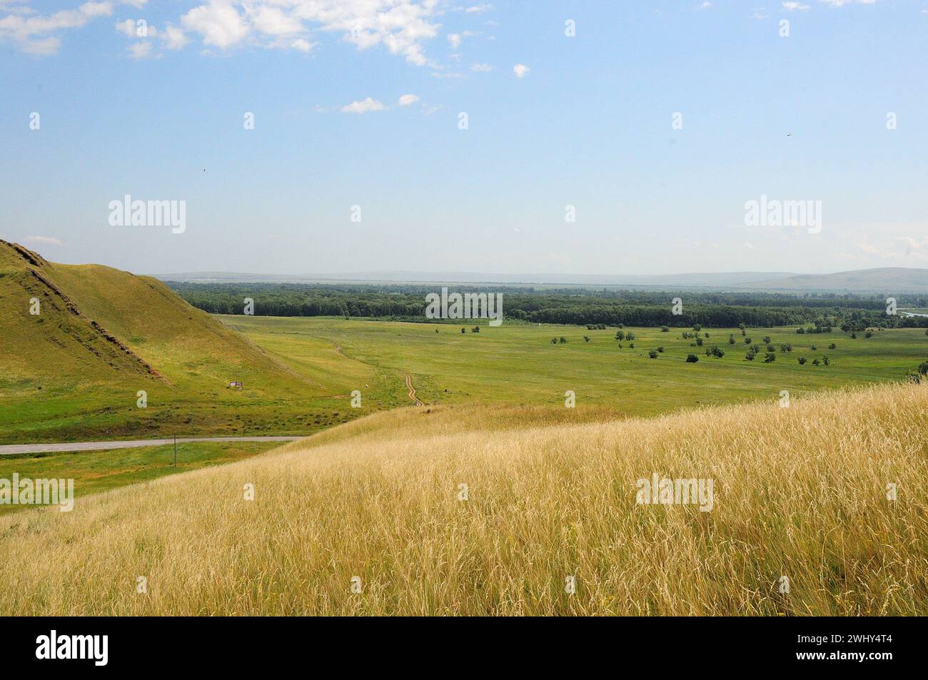 Steppe landscape with tall yellow grass hi-res stock photography and ...