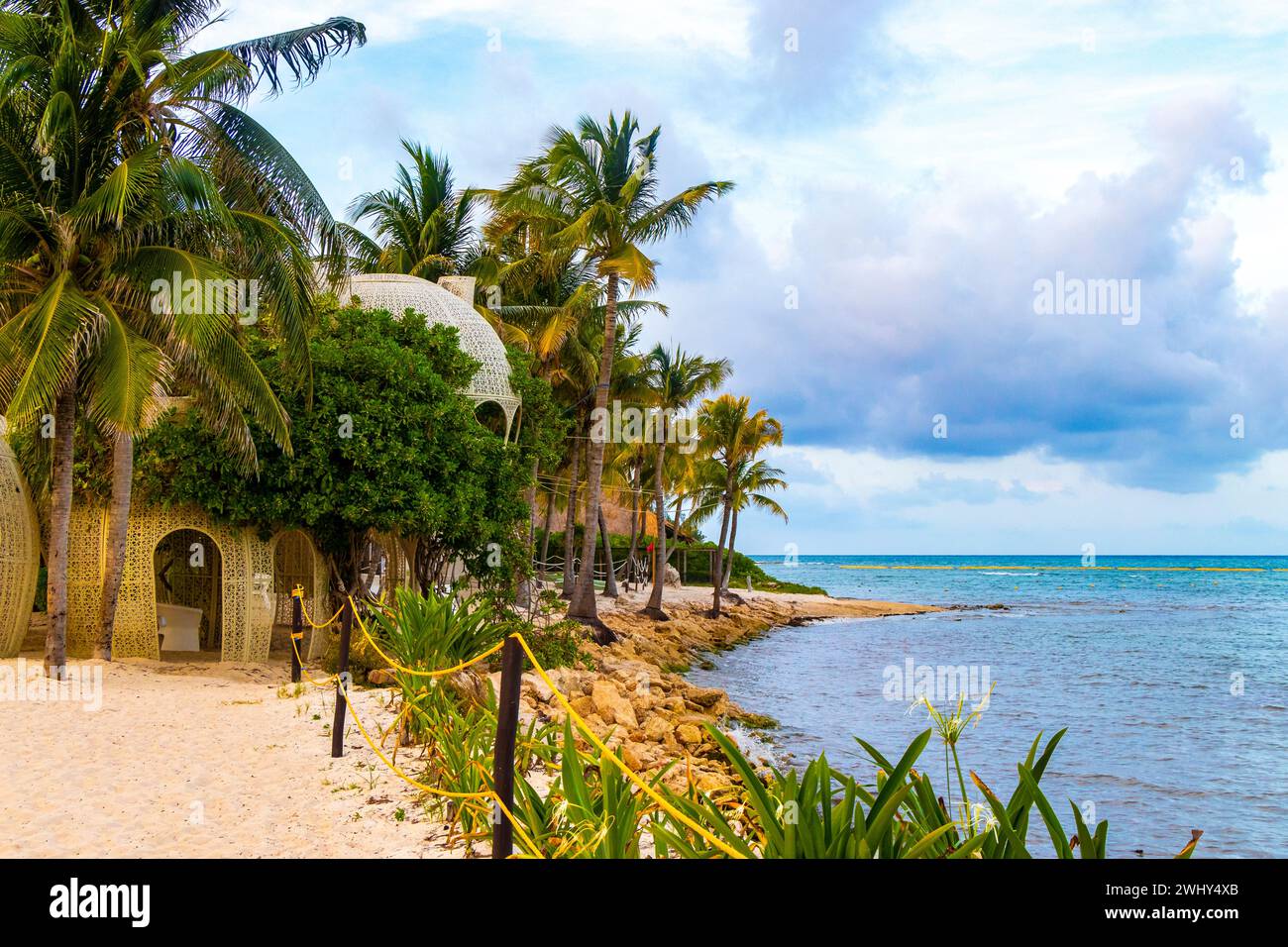 Tropical mexican caribbean beach landscape panorama with clear ...