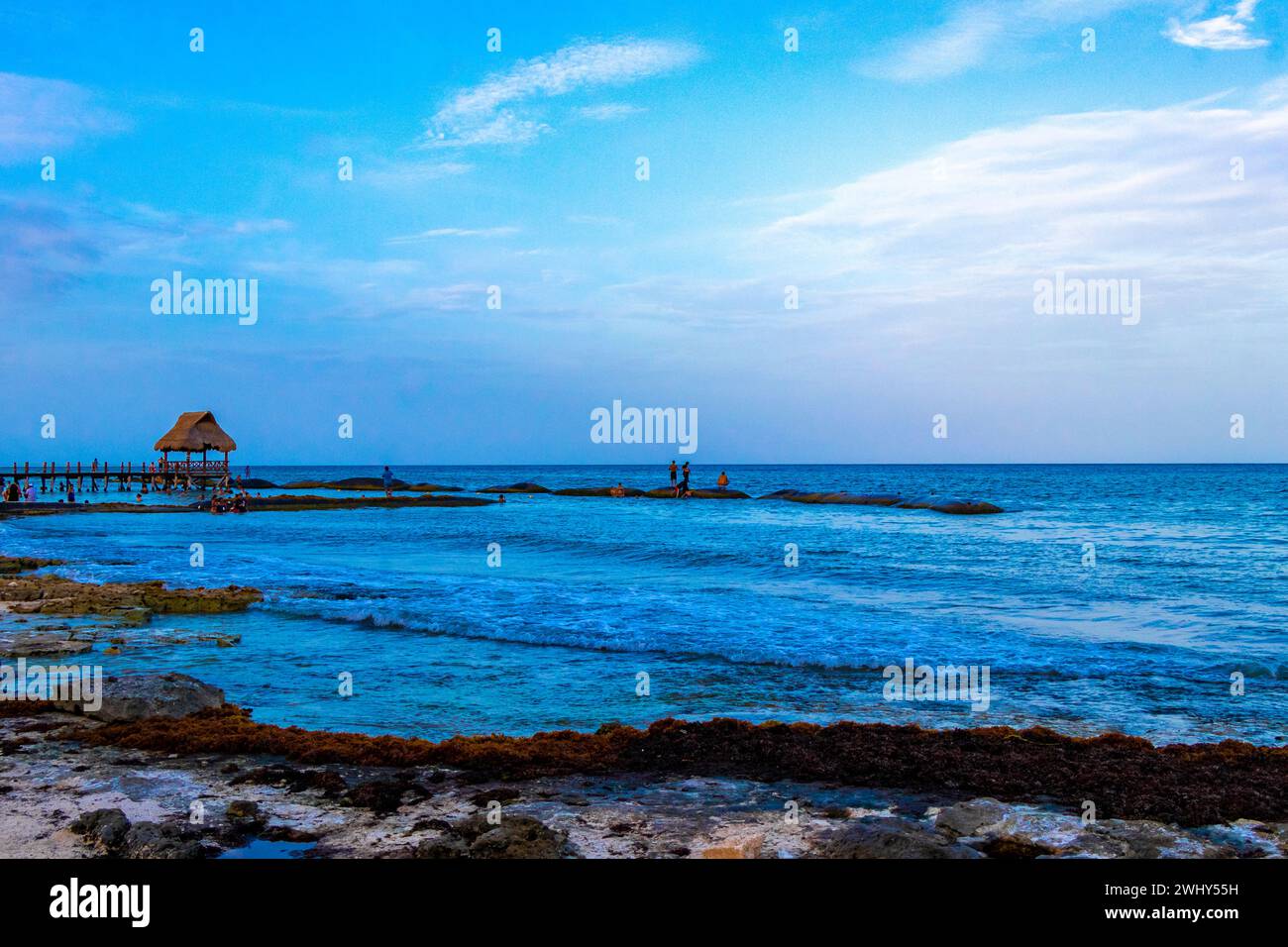 Playa del Carmen Quintana Roo Mexico 14. August 2023 Tropical mexican ...