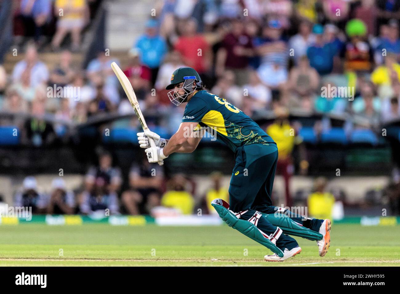 ADELAIDE, AUSTRALIA - FEBRUARY 11: Tim David of Australia bats during ...