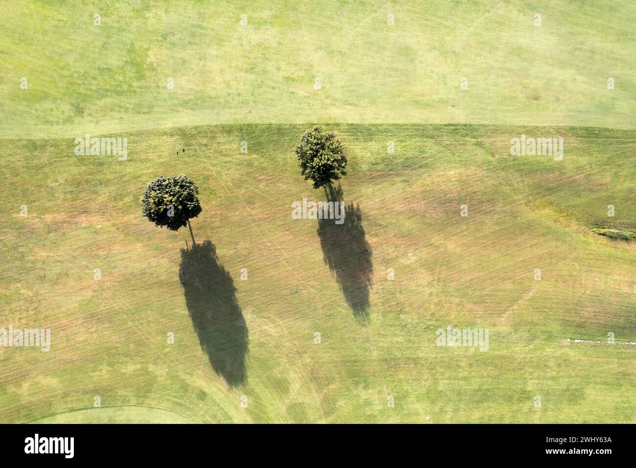 Aerial view green white trees hi-res stock photography and images - Alamy