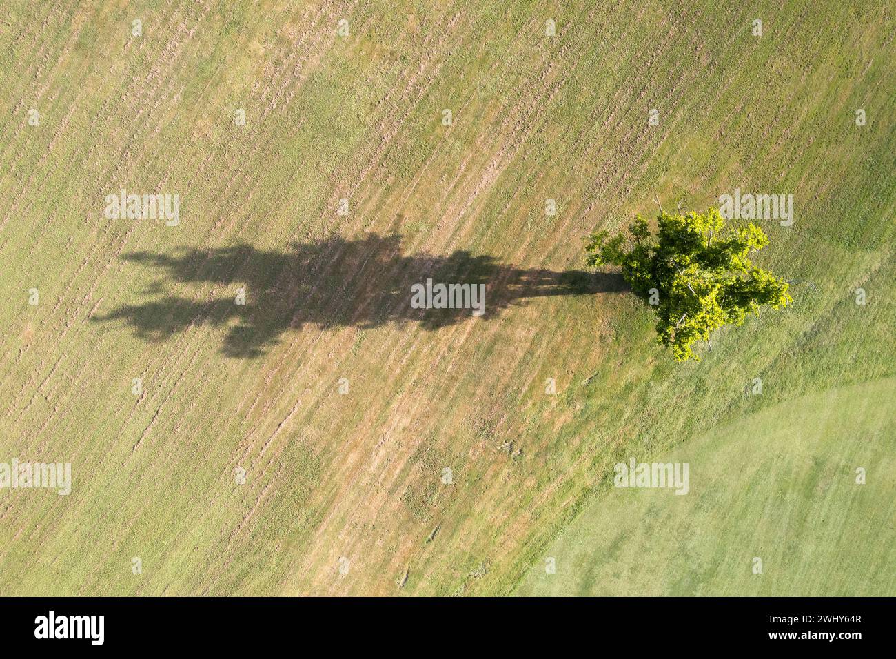 Shadow scene view silhouette hi-res stock photography and images - Alamy