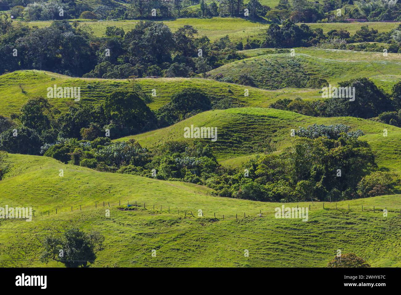 Rural landscapes in green colombian mountains Stock Photo - Alamy