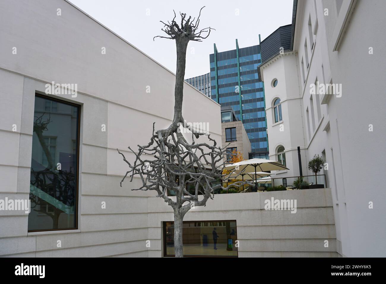 Jewish Museum Frankfurt Main with tree sculpture by Ariel Schlesinger ...