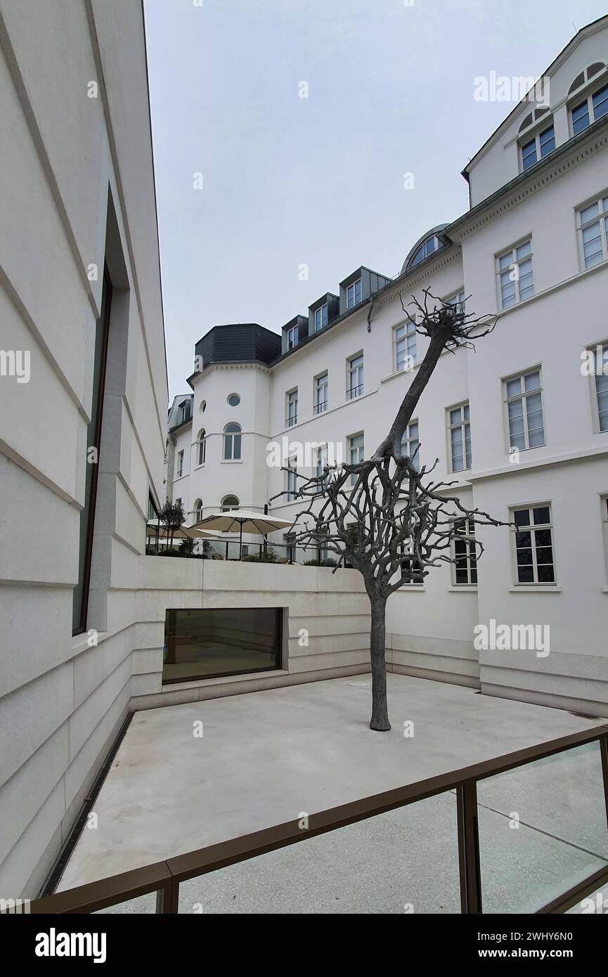 Jewish Museum Frankfurt Main with tree sculpture by Ariel Schlesinger ...