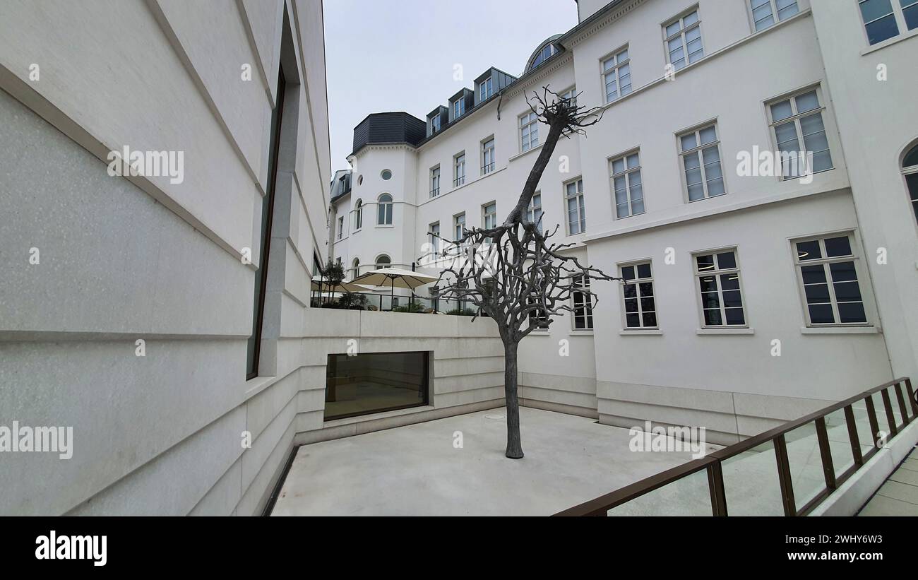 Jewish Museum Frankfurt Main with tree sculpture by Ariel Schlesinger ...