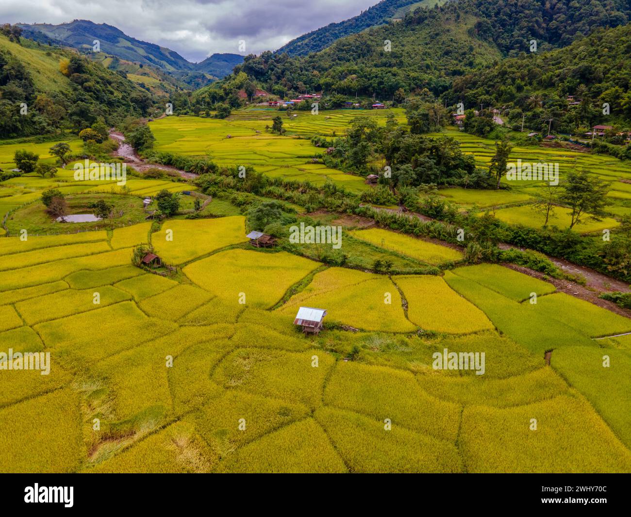 Rice paddy field terraces sapan hi-res stock photography and images - Alamy