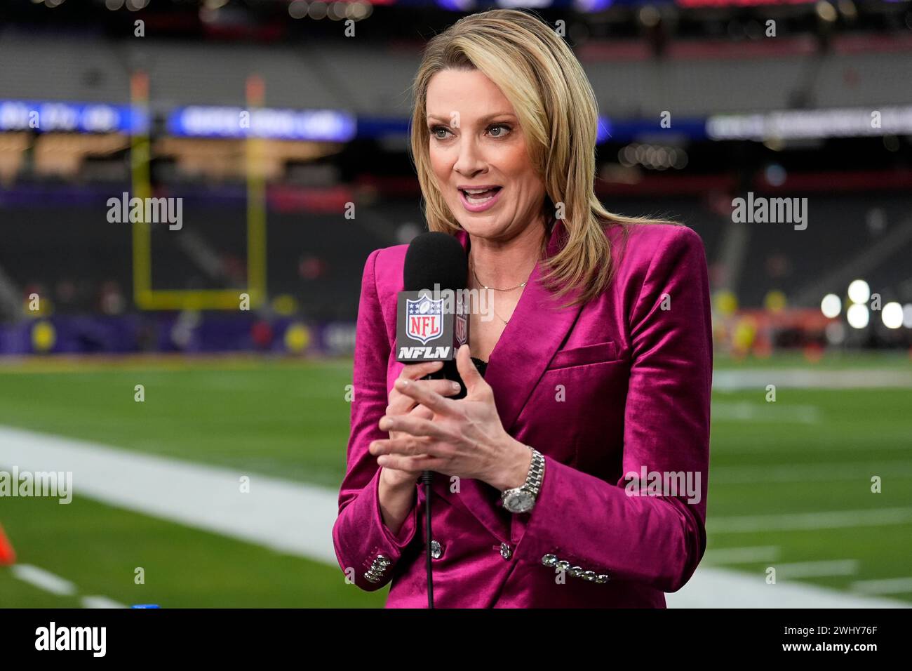NFL Network reporter Stacey Dales works from the sideline before the ...