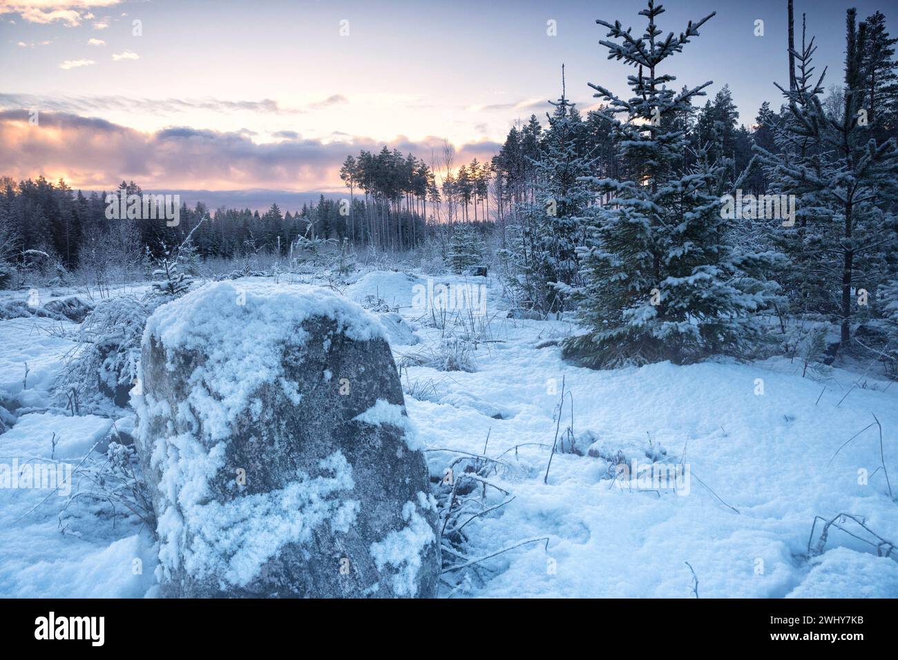 Beautiful warm sunrise in hi-res stock photography and images - Alamy