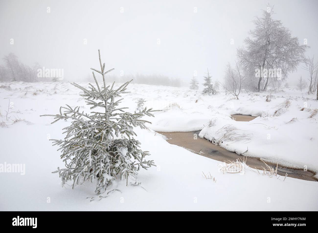 River snow in background hi-res stock photography and images - Alamy