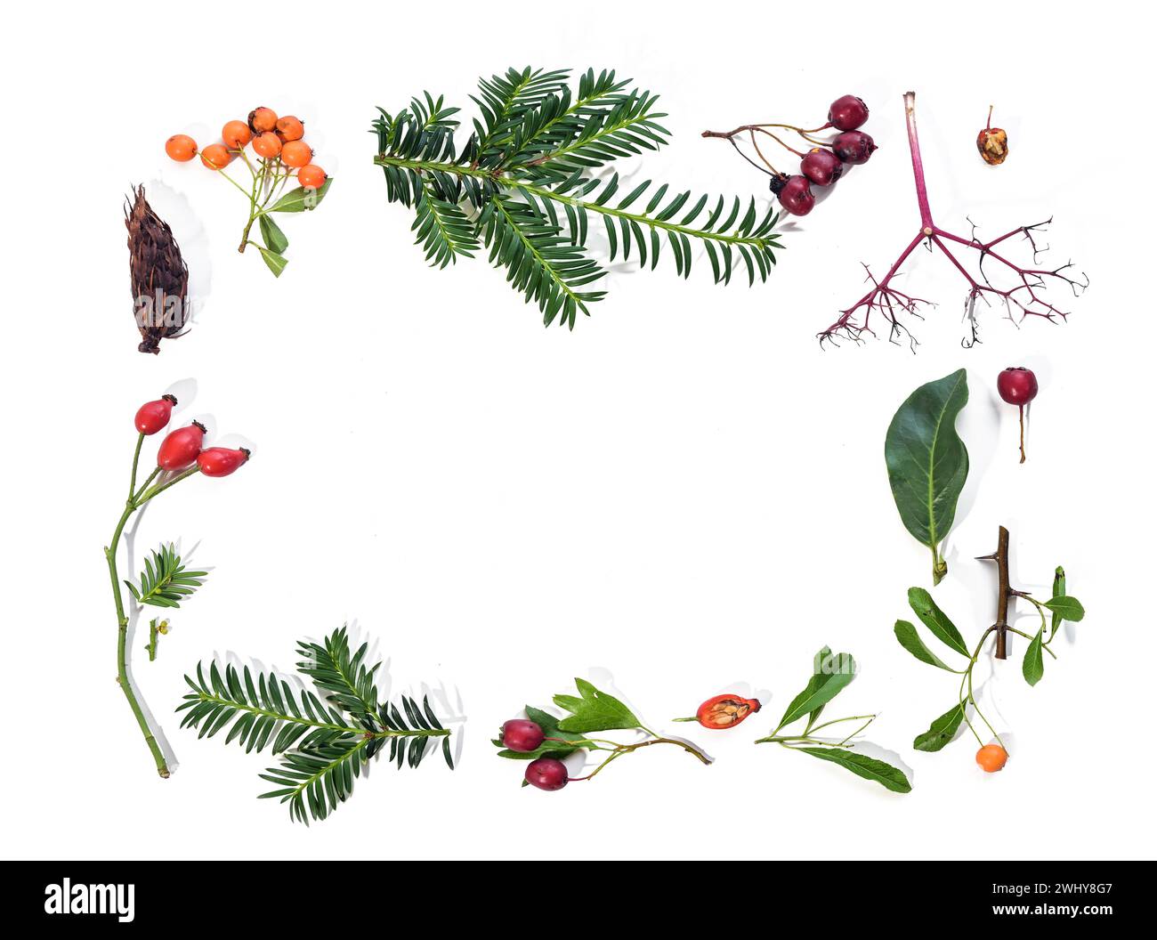 Christmas frame for copy natural hi-res stock photography and images ...