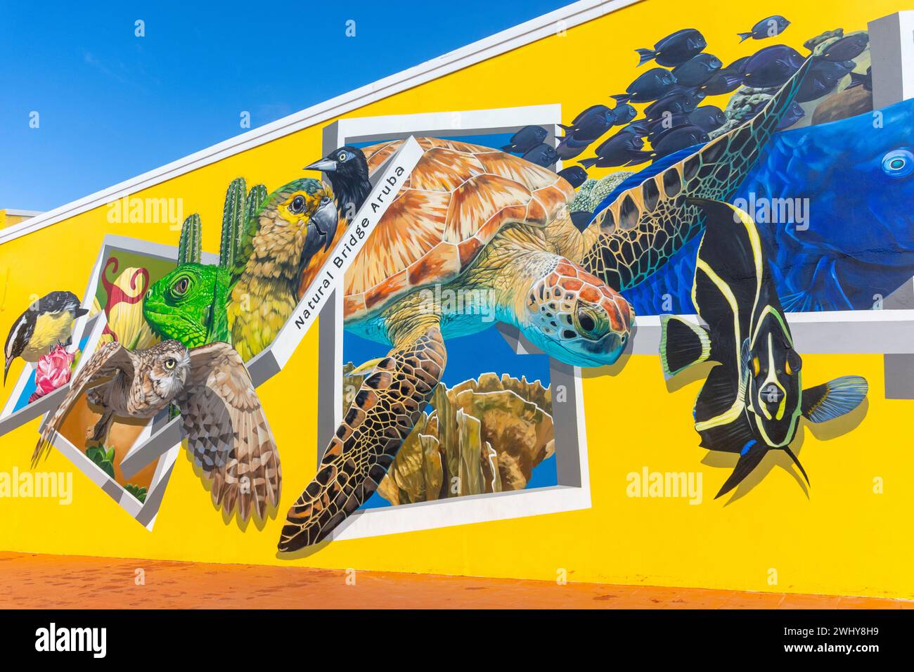 Mural on wall of Gift shop at Natural Bridge Aruba, Santa Cruz, Aruba ...