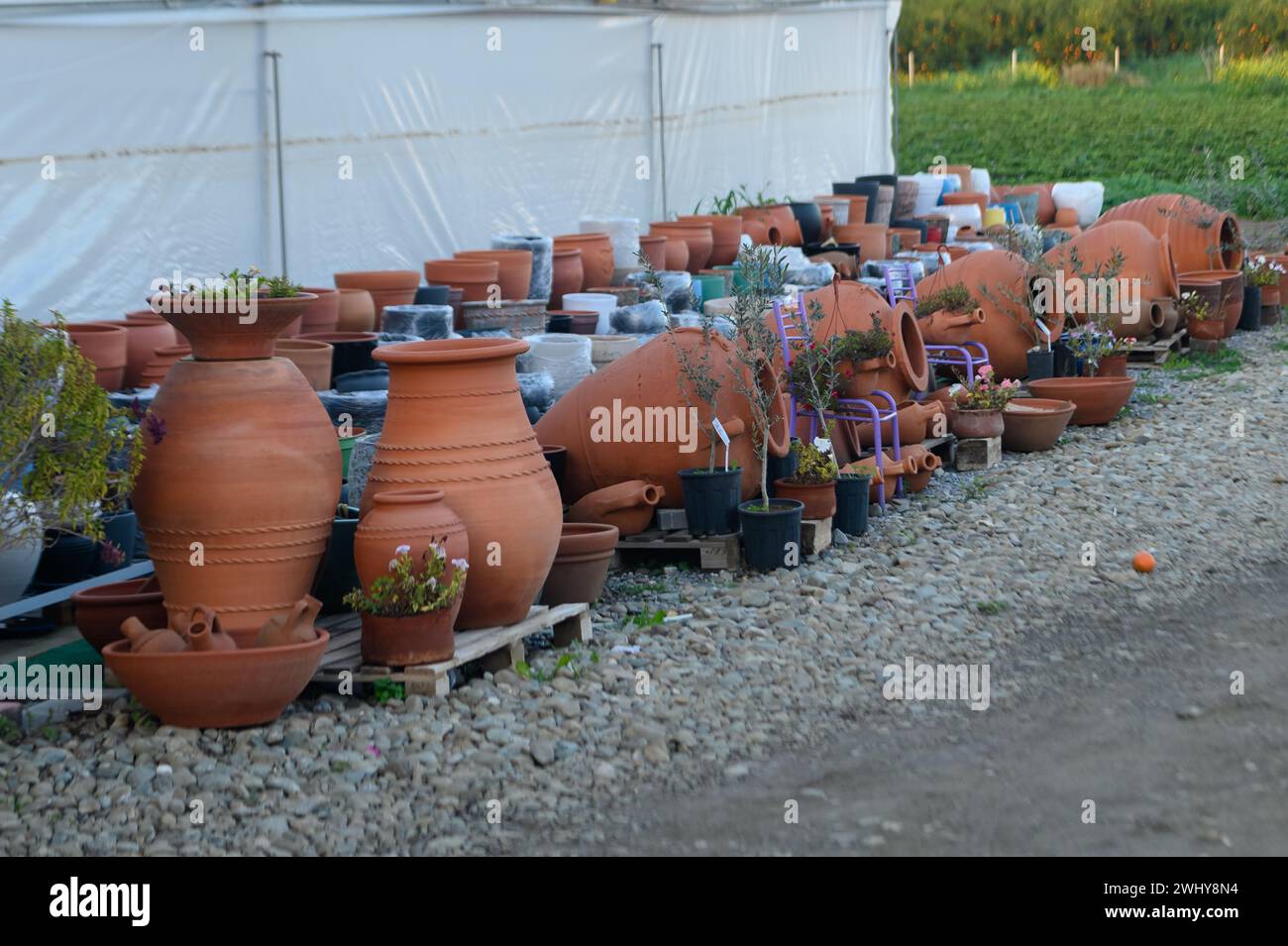 Huge jugs hi-res stock photography and images - Alamy