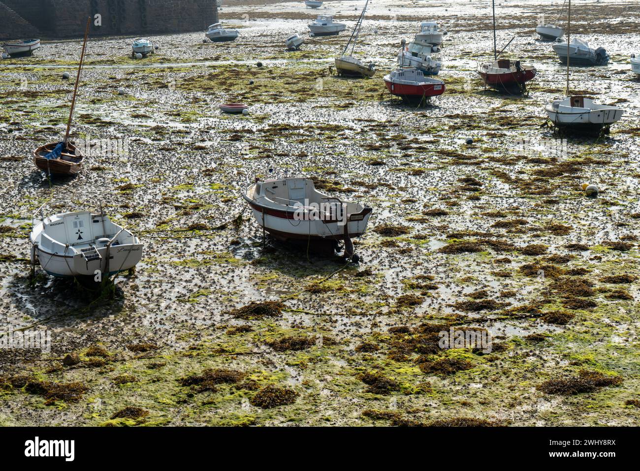 Port of Roscoff at low tide, Brittany Stock Photo - Alamy
