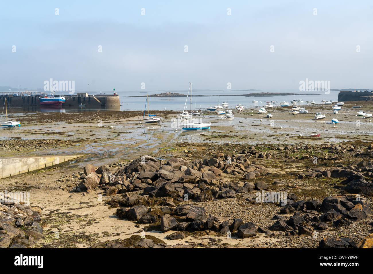 Port of Roscoff at low tide, Brittany Stock Photo - Alamy