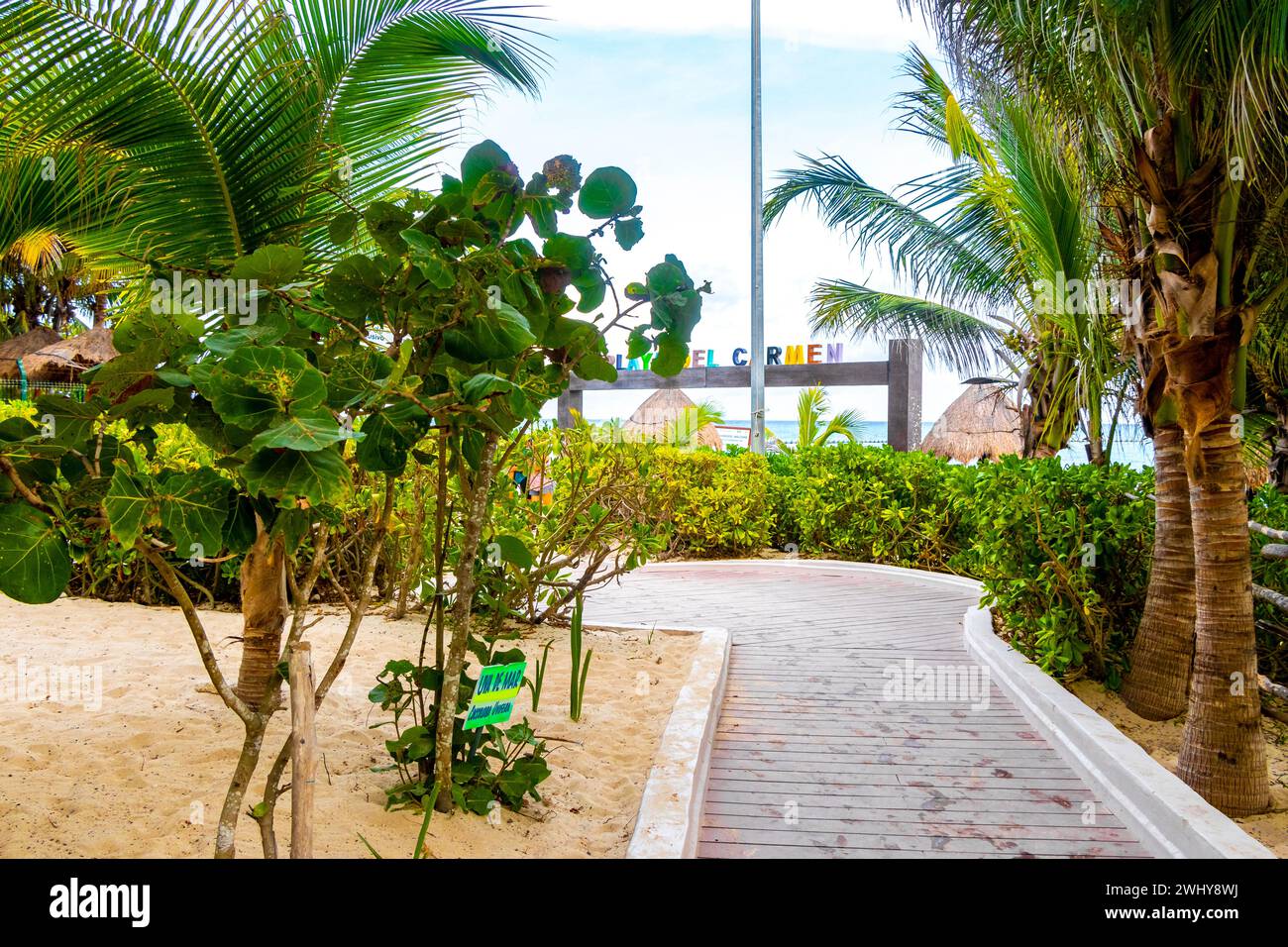 Wooden trail walk path and fence at the Caribbean beach and tropical ...
