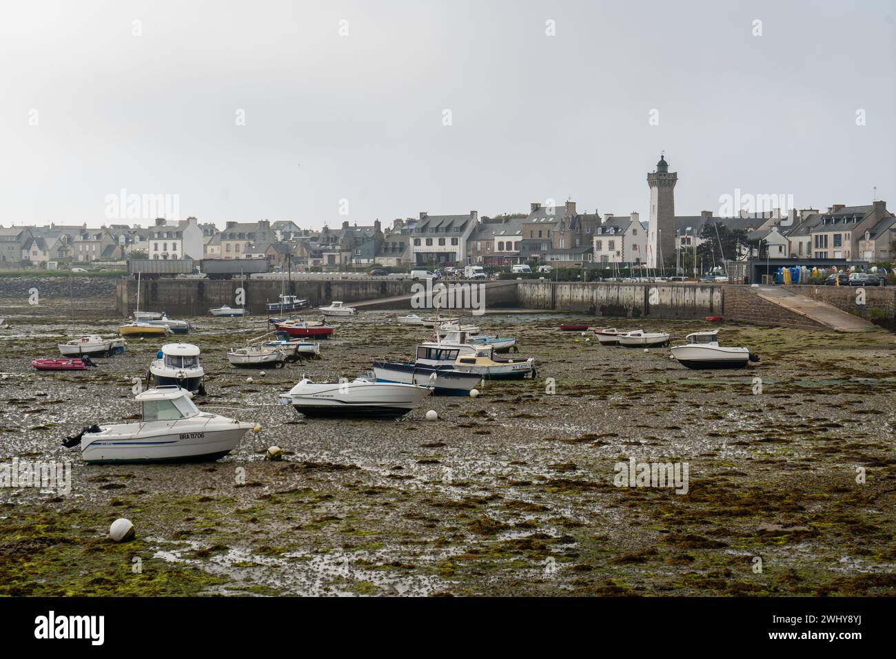 Port of Roscoff at low tide, Brittany Stock Photo - Alamy