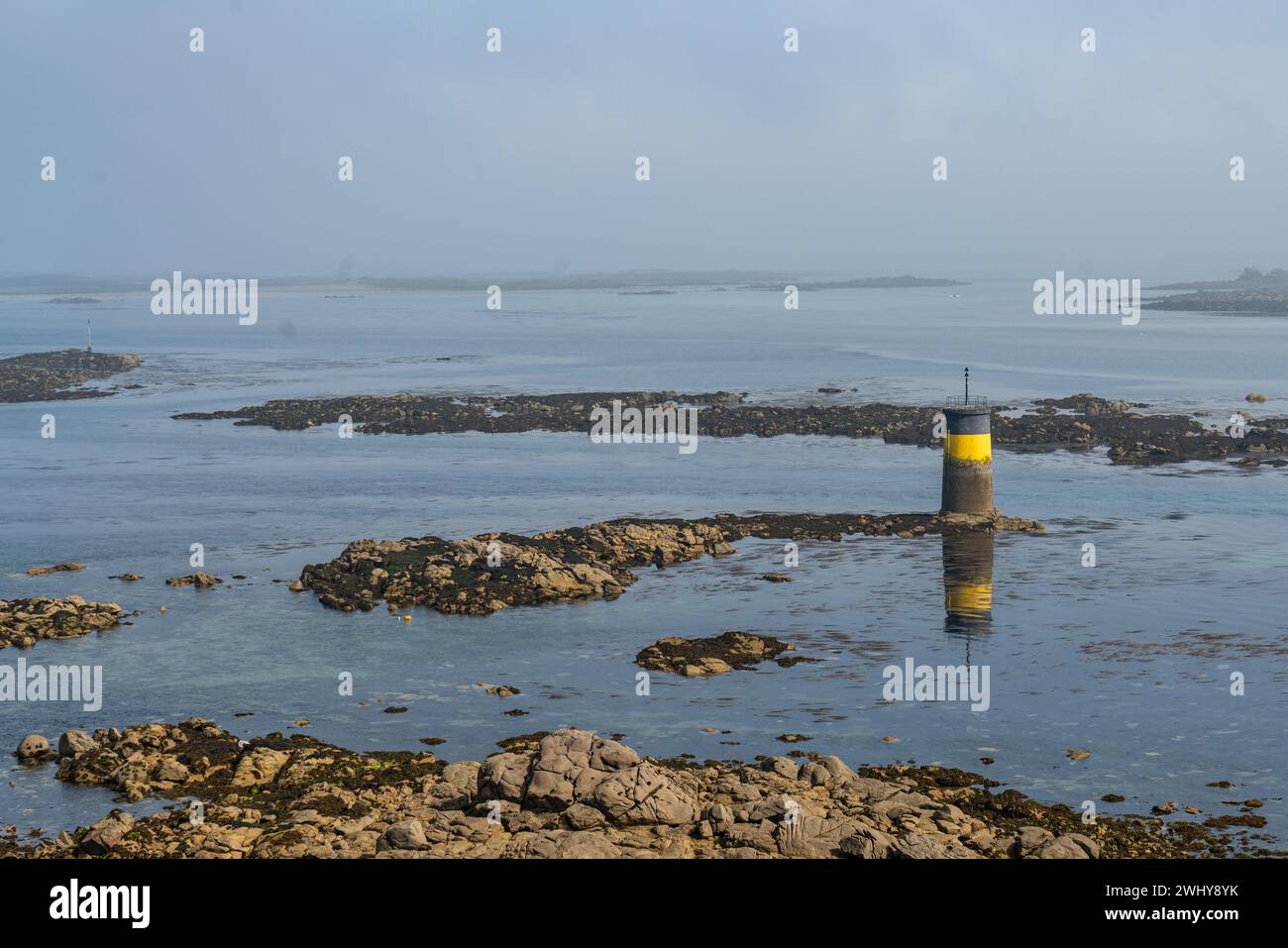 Port of Roscoff at low tide, Brittany Stock Photo - Alamy