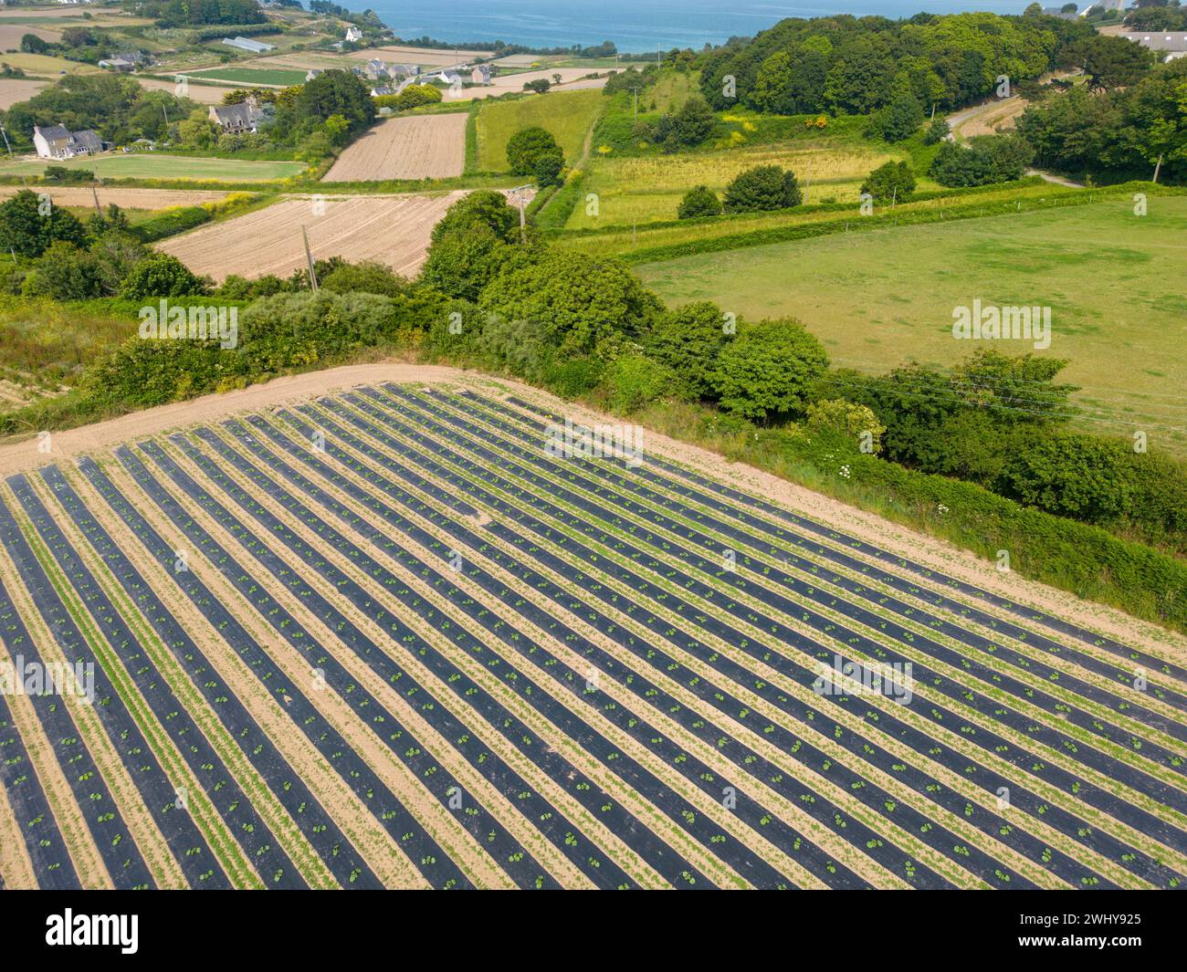 Aerial view of vegetable fields in Brittany Stock Photo - Alamy