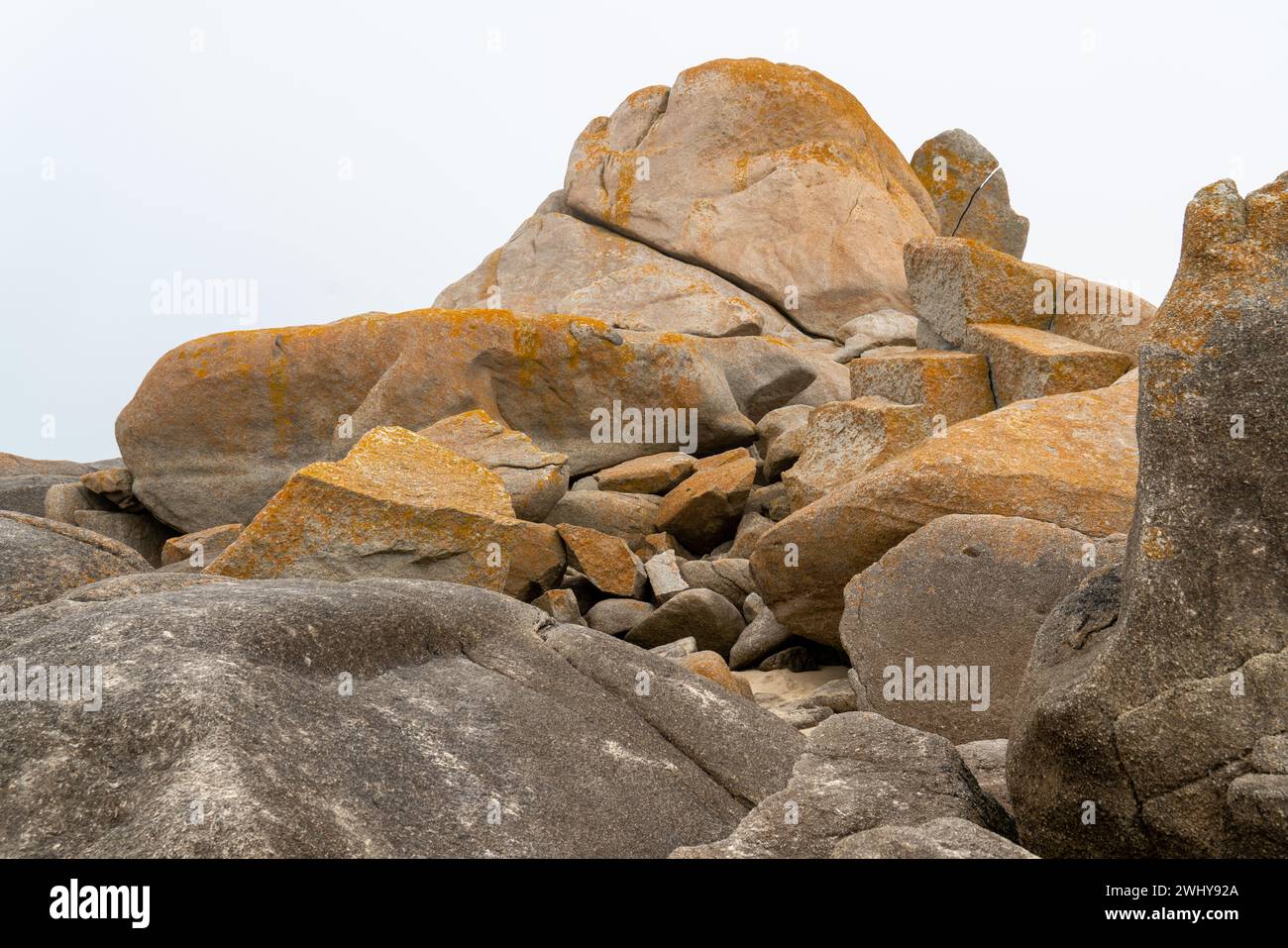 Santec hi-res stock photography and images - Alamy