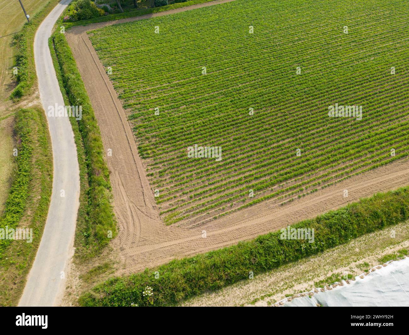 Aerial view of vegetable fields in Brittany Stock Photo - Alamy