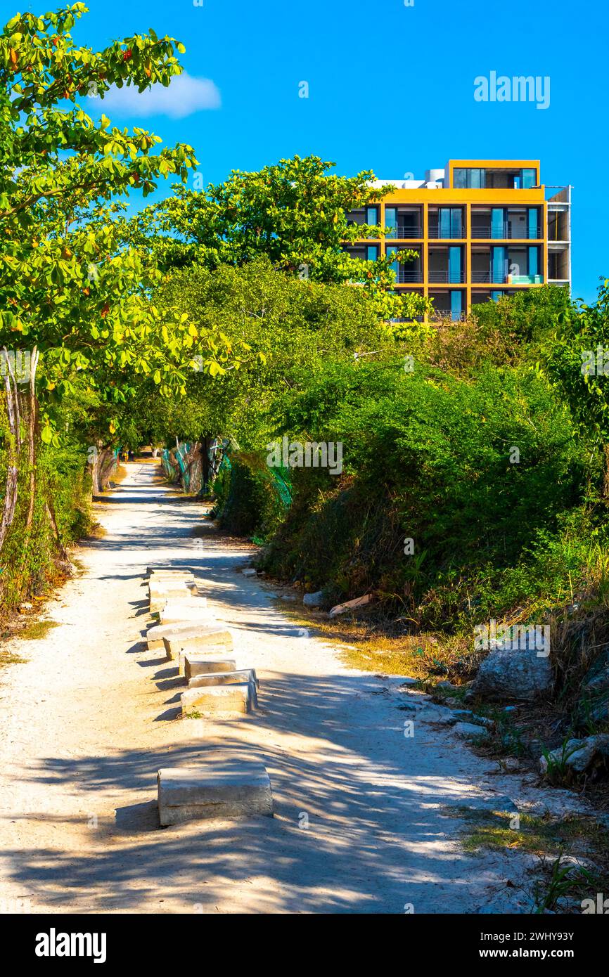 Tropical natural way walking path to the beach in the nature jungle ...