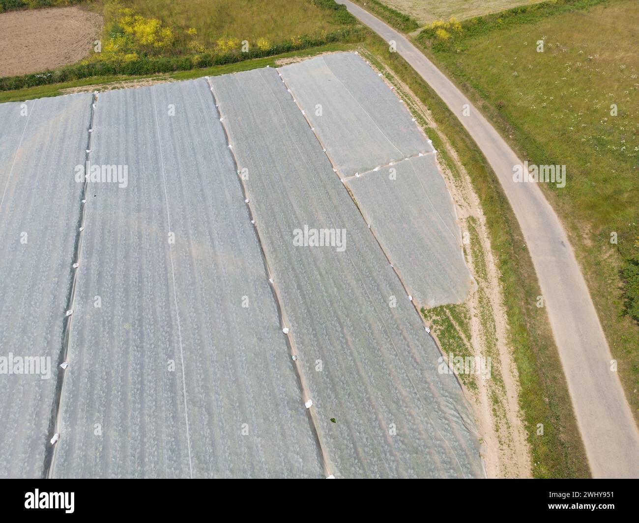 Aerial view of vegetable fields in Brittany Stock Photo - Alamy