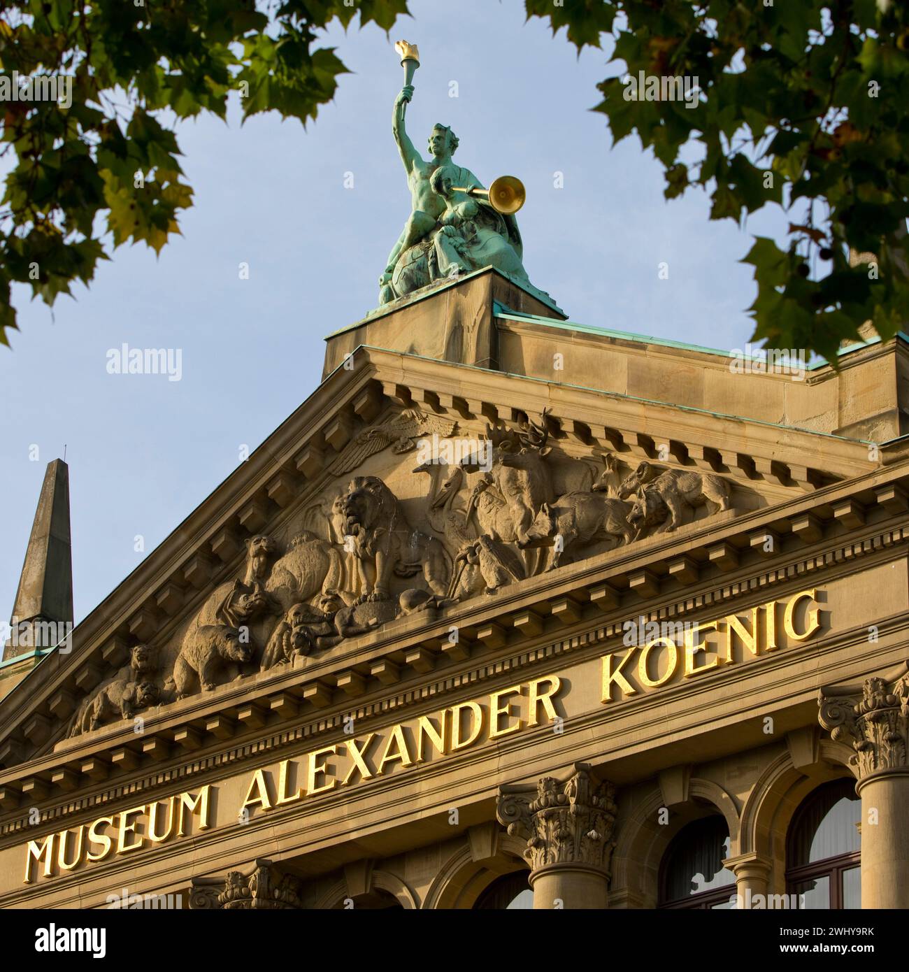 Museum Koenig, Natural History Museum, Path of Democracy station, Bonn ...