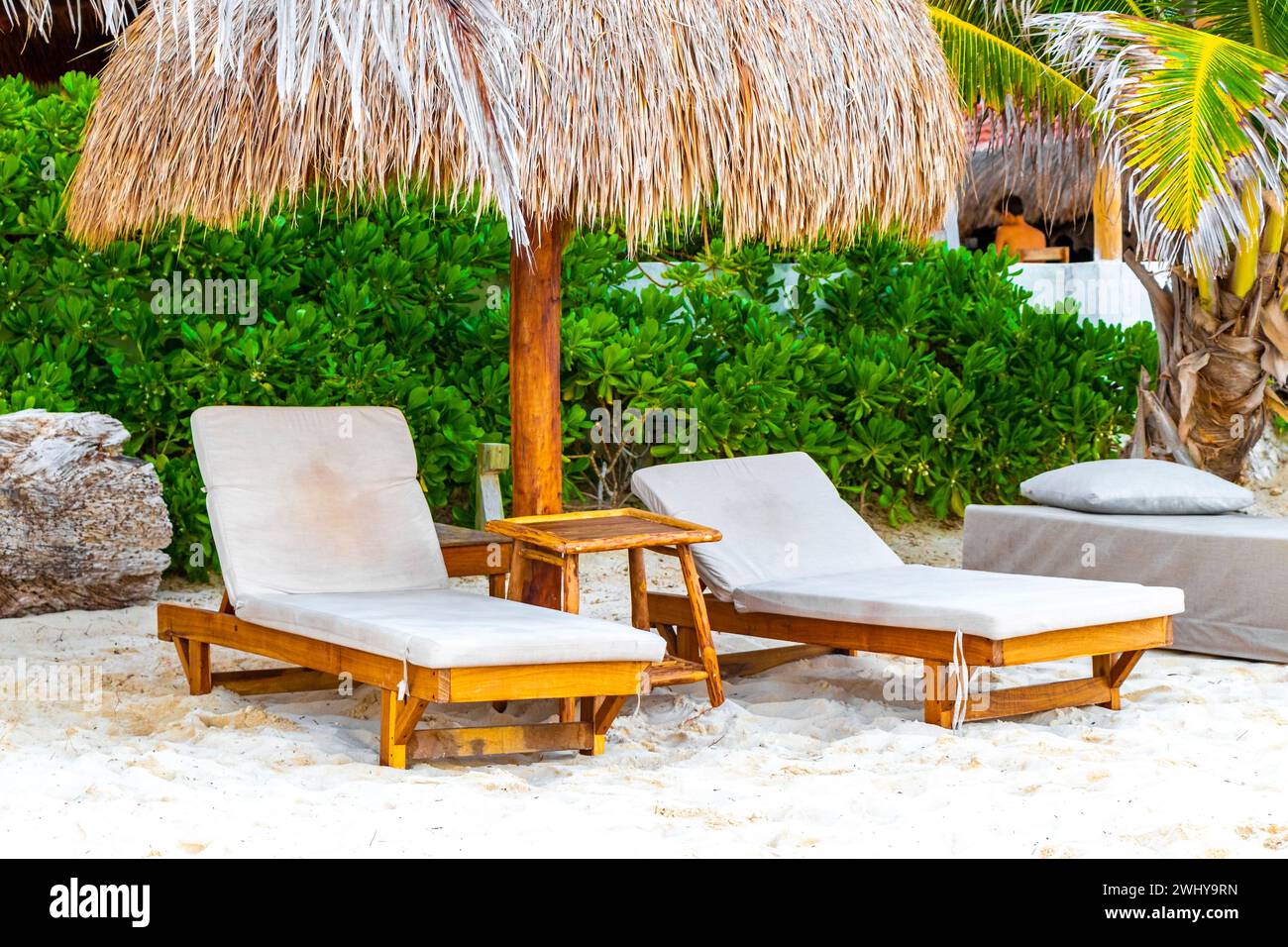 Palapa thatched roofs palm trees parasols umbrellas and sun loungers at ...