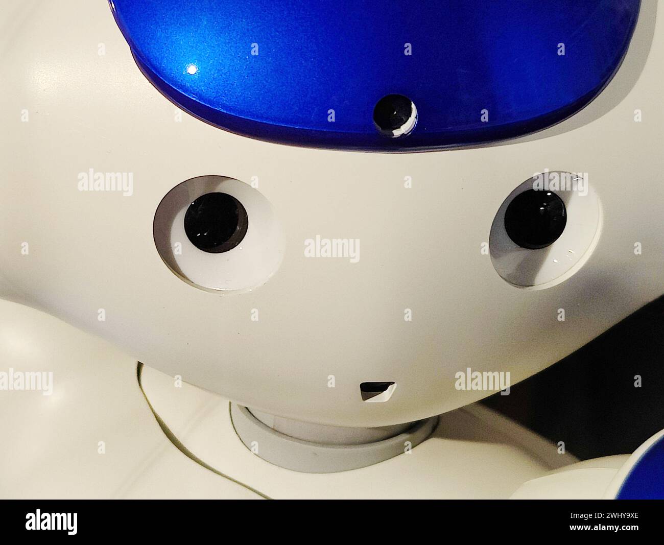 Nao Robot Head Japan's Biggest Bank To Introduce Multilingual Robot