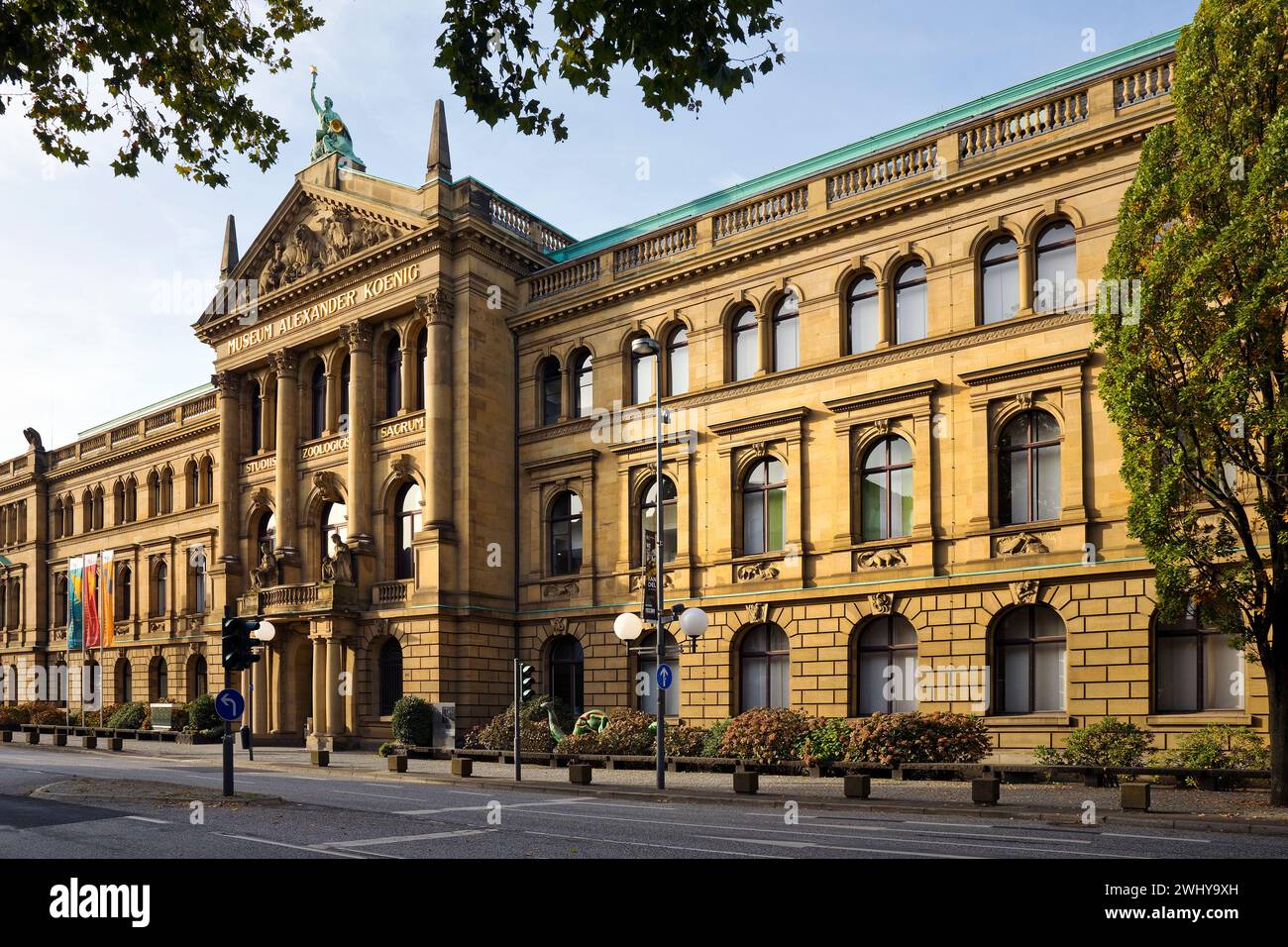 Museum Koenig, Natural History Museum, Path of Democracy station, Bonn ...