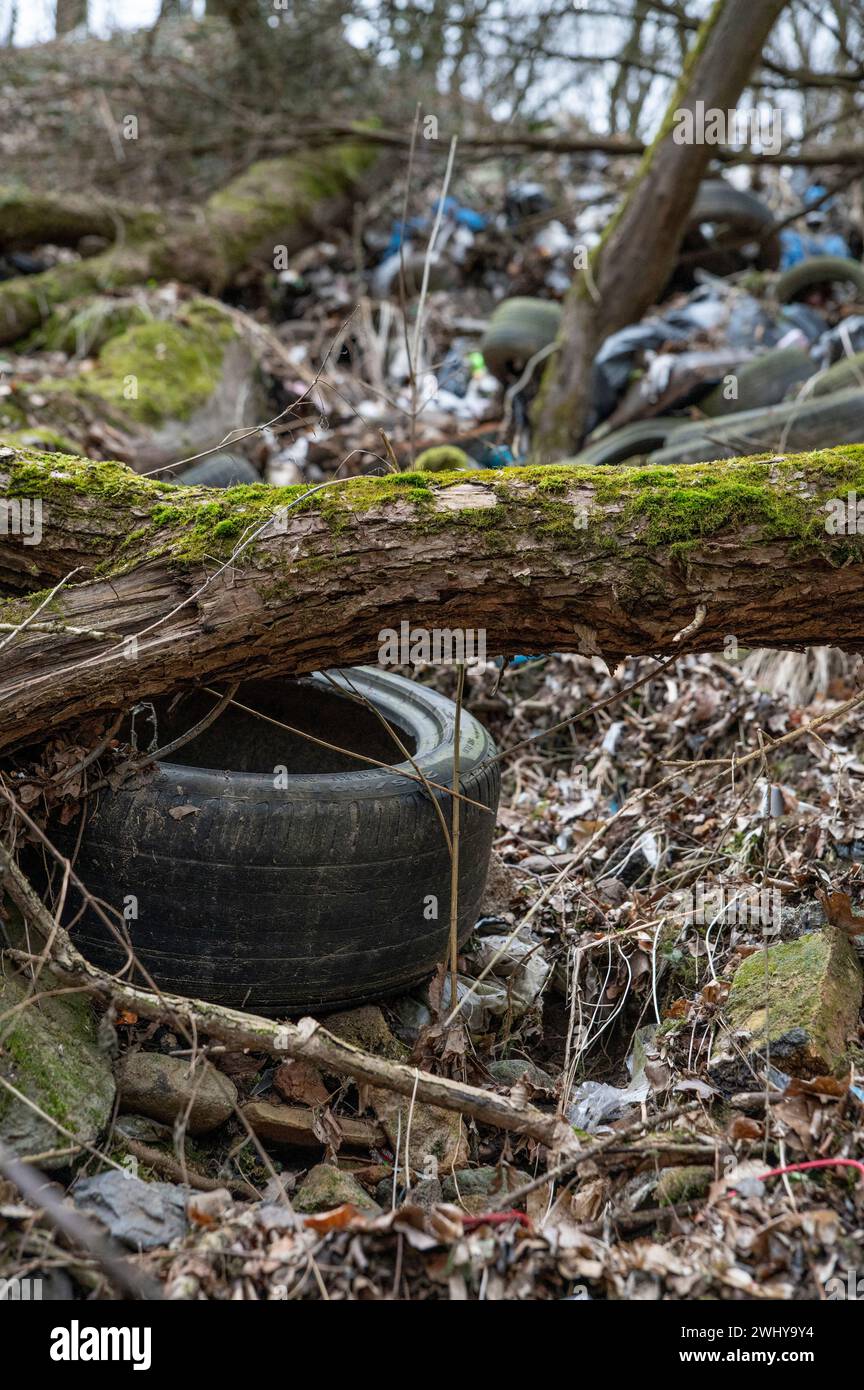 Old used car tires in the forest. Illegal dump of tires in the nature. Environmental pollution ...