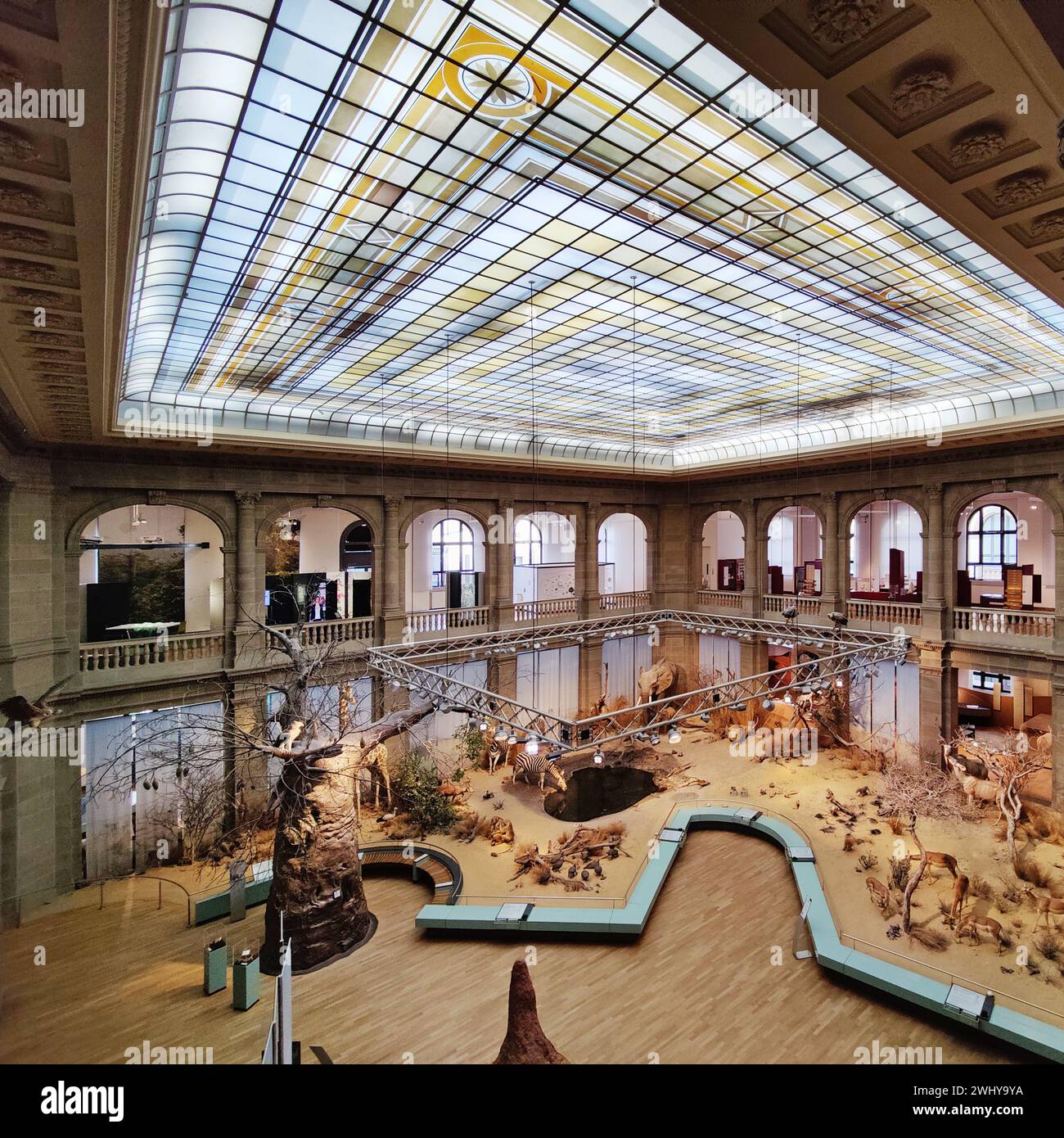 Lichthof Museum Koenig, Natural History Museum and Way of Democracy ...