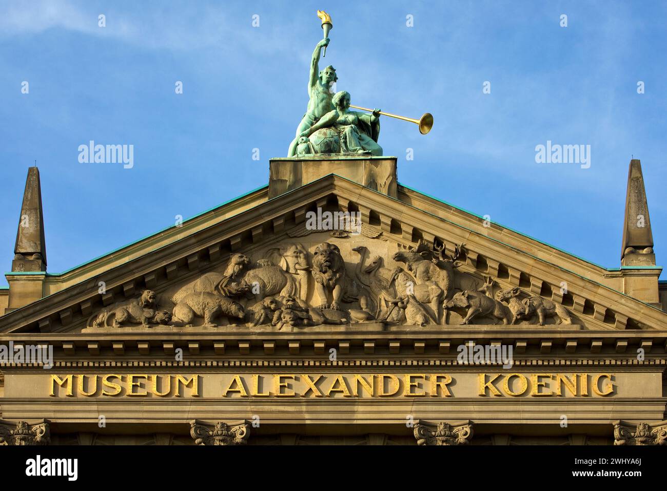 Museum Koenig, Natural History Museum, Path of Democracy station, Bonn ...