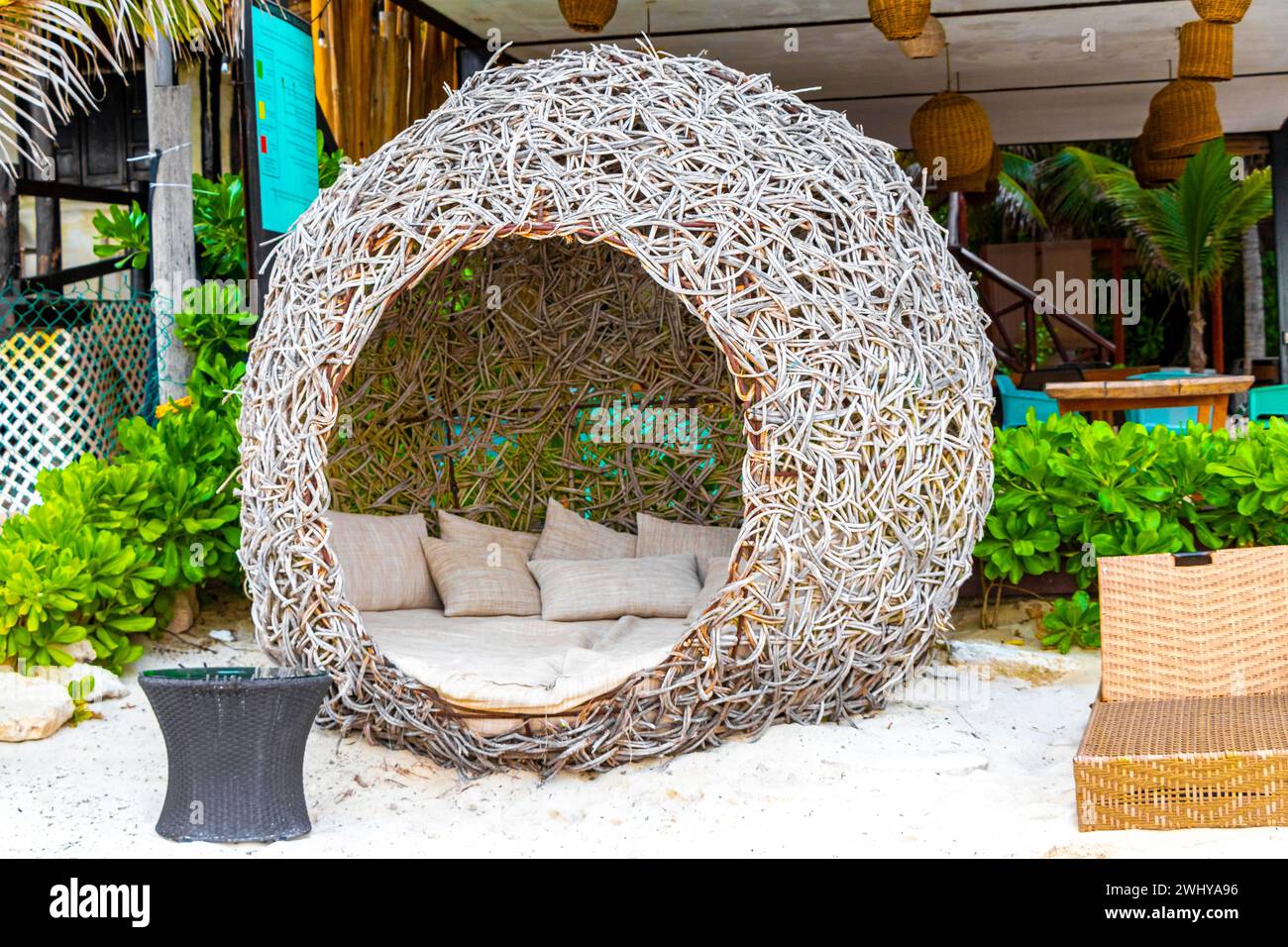 Palapa thatched roofs palm trees parasols umbrellas and sun loungers at ...