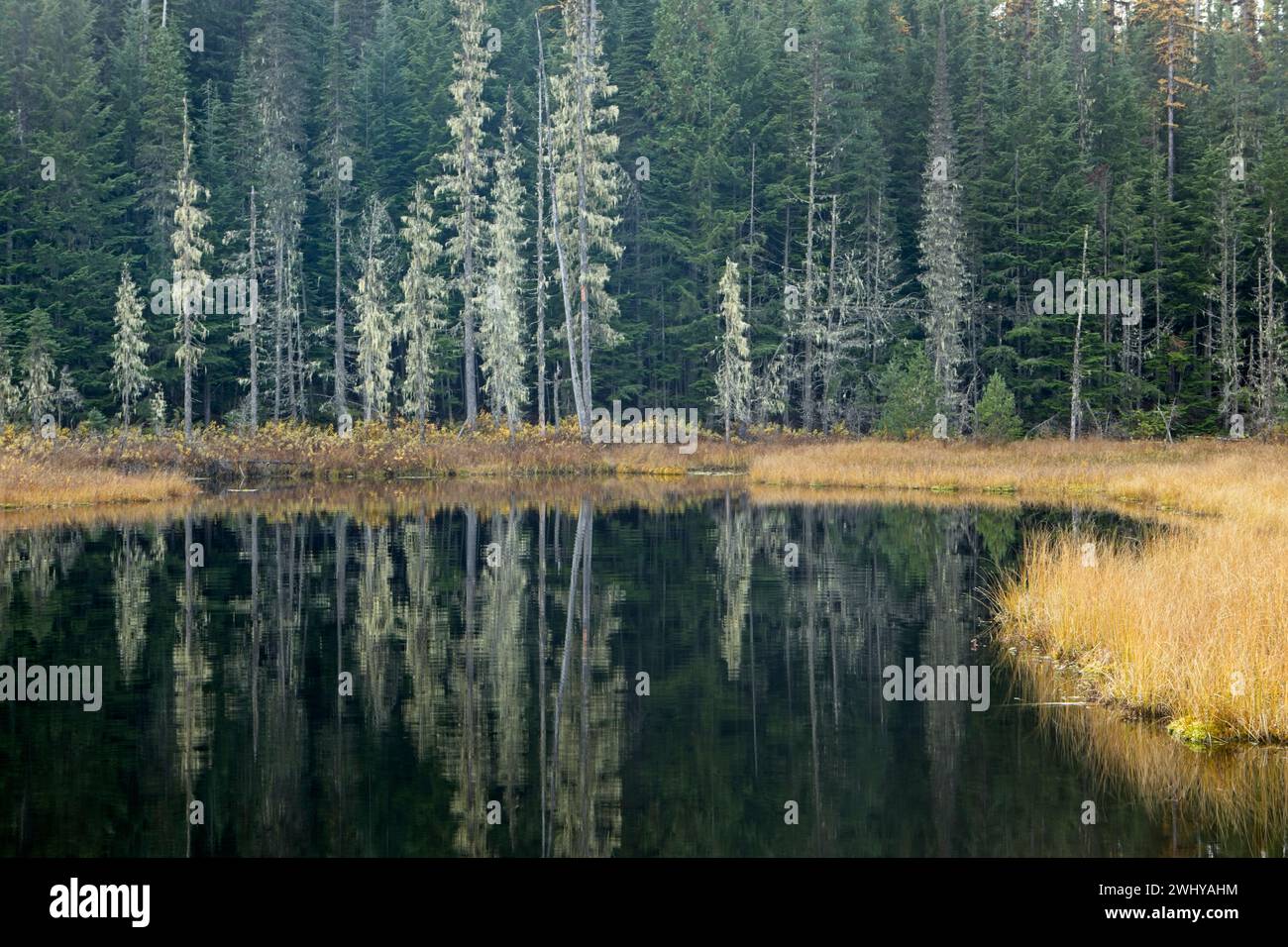 Beautiful view lake reflective water hi-res stock photography and ...