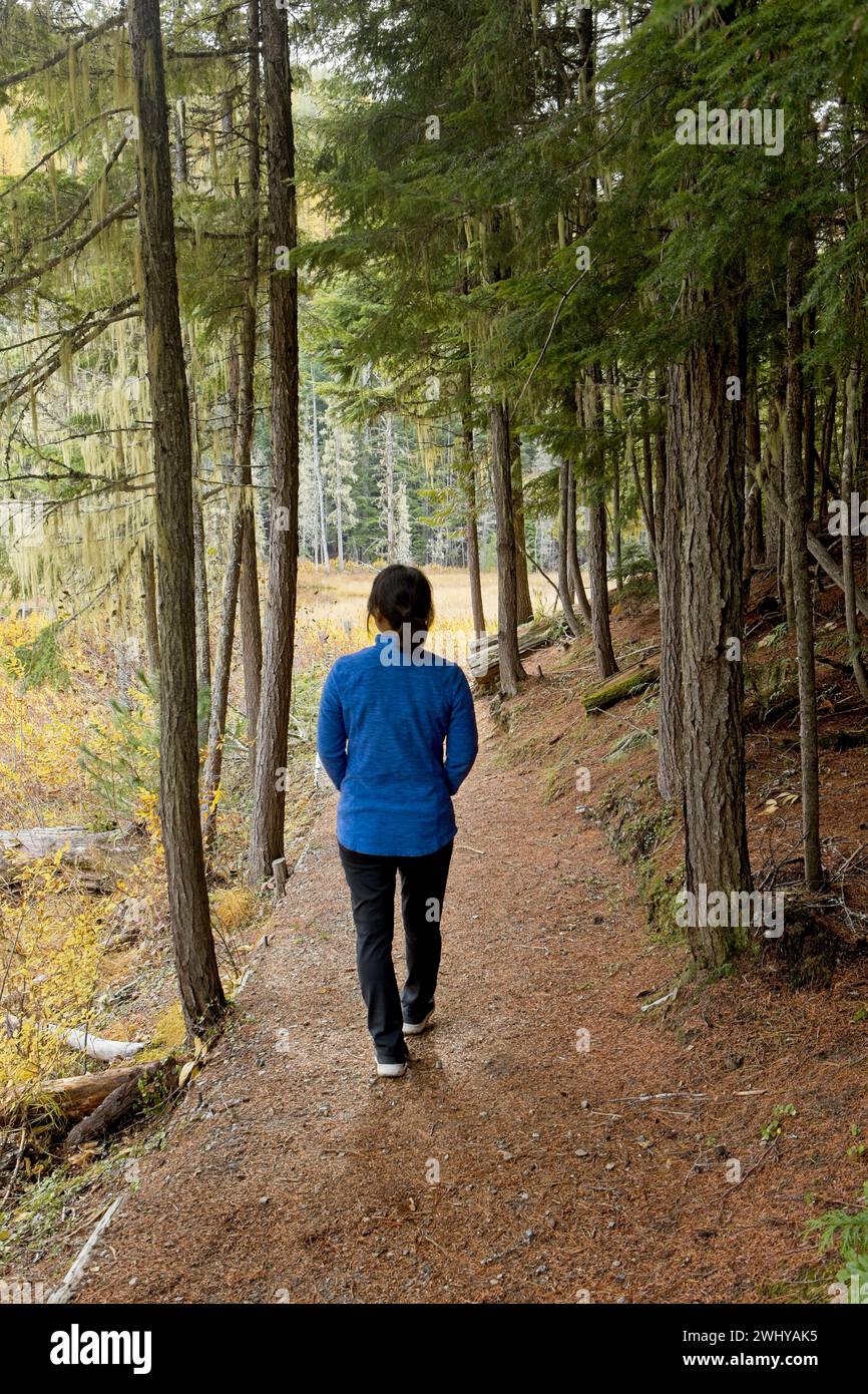 Woman strolling woodland footpath hi-res stock photography and images ...