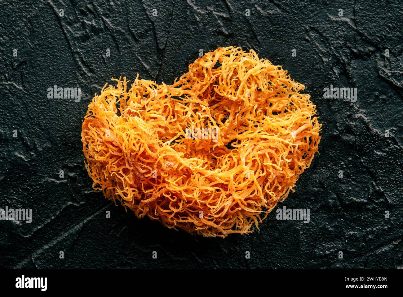Irish sea moss, heart-shaped. Chondrus Crispus, healthy organic raw ...