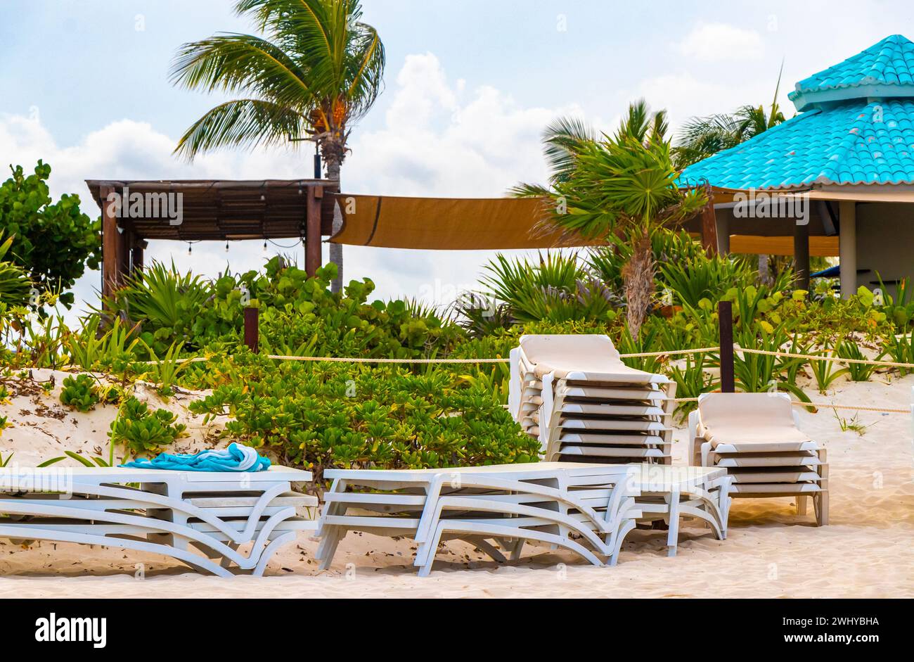 Palapa thatched roofs palm trees parasols umbrellas and sun loungers at ...